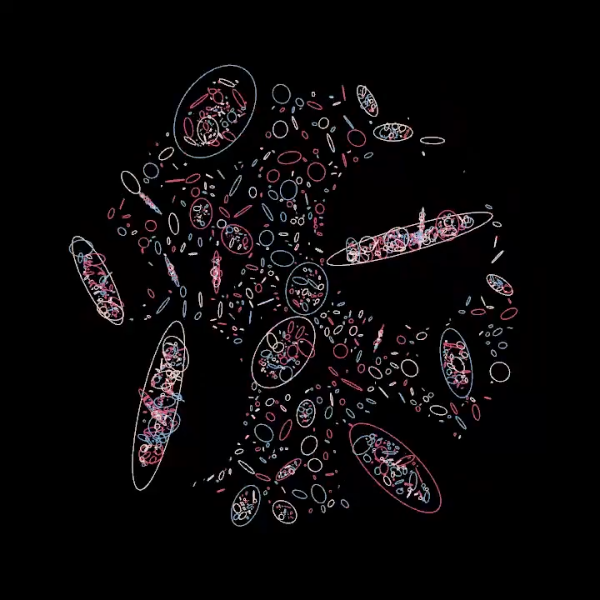 Rotated circle packing.