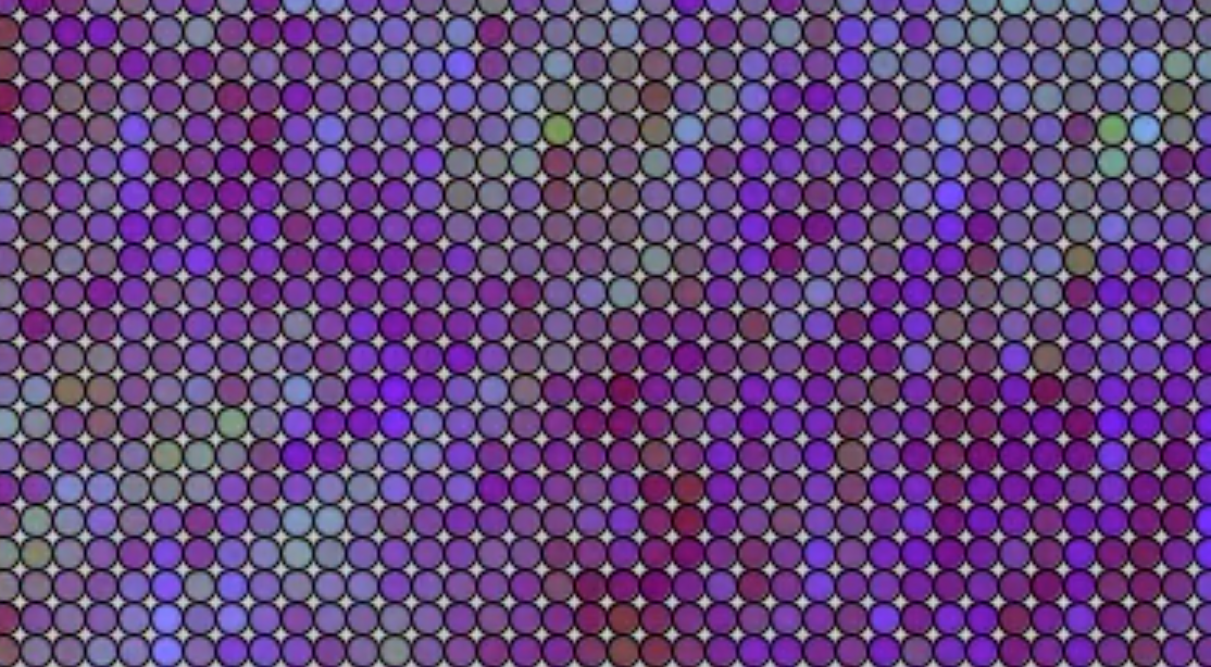 Cell Automaton Grid Wave rainbow version