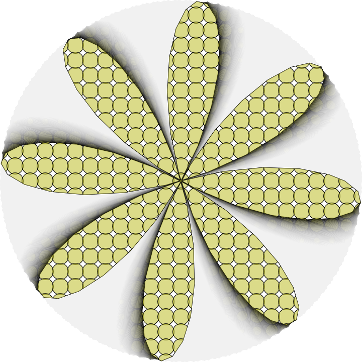 tp5_210202_PolkaFlower