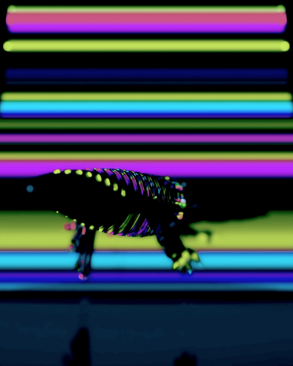 Slit Animation Sculpture'WHALE'