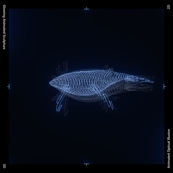 2D 3D Slit Animation