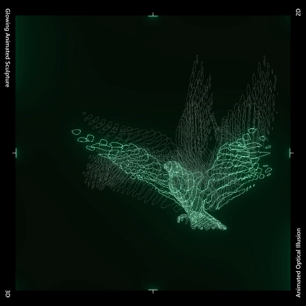 2D 3D Slit Animation