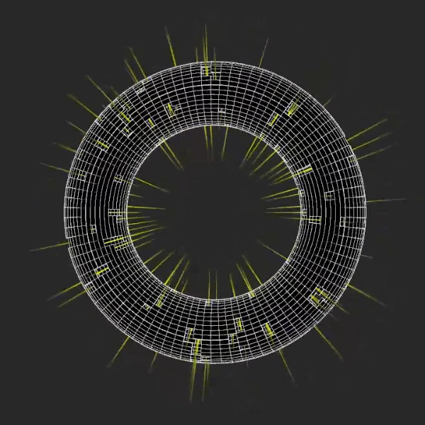 Leak out from torus.